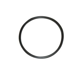 2 inch Pump O-Ring - X280401 | Master Spa Parts